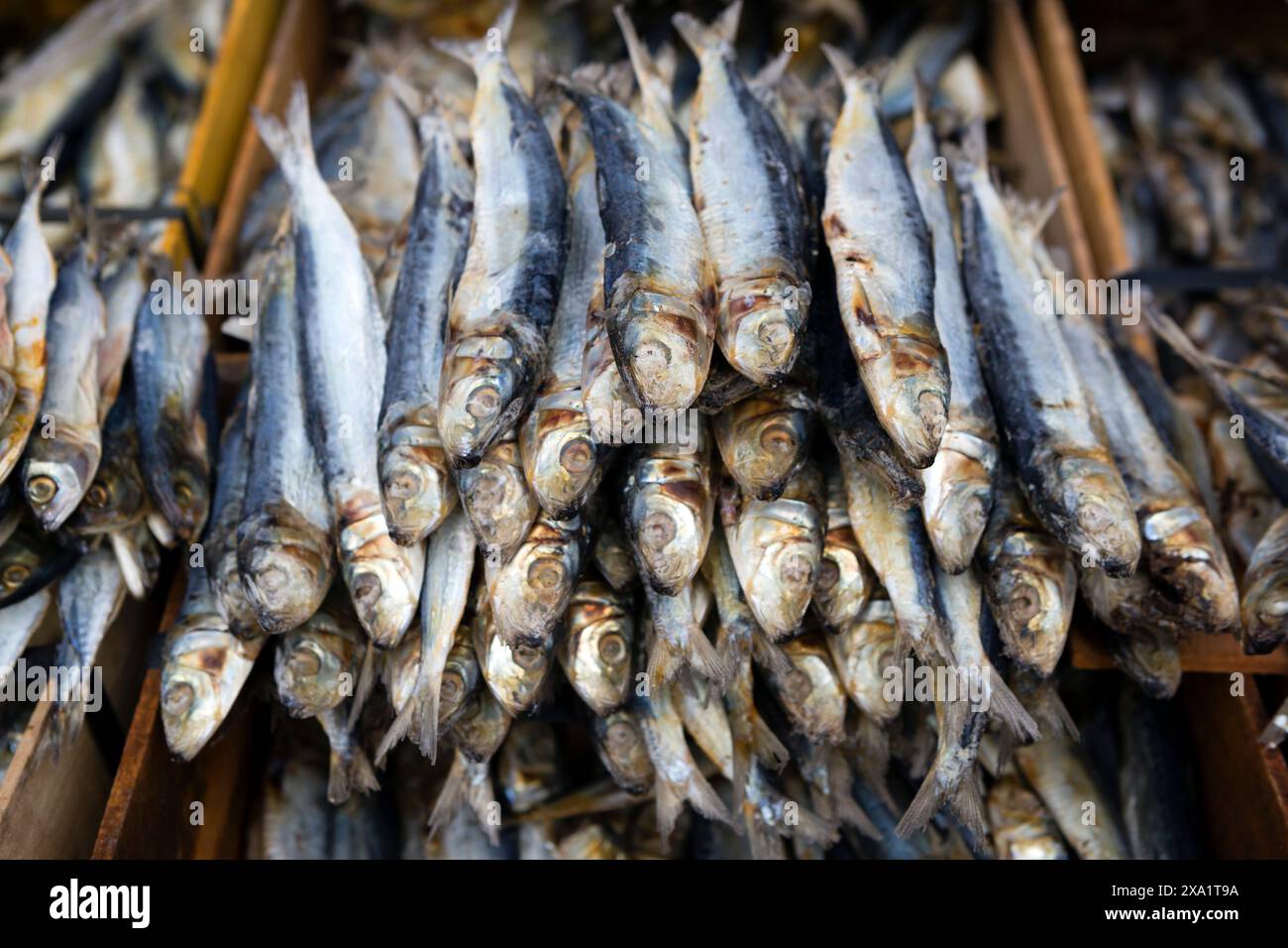Dried fish on display at Carbon Market located in Cebu City ...