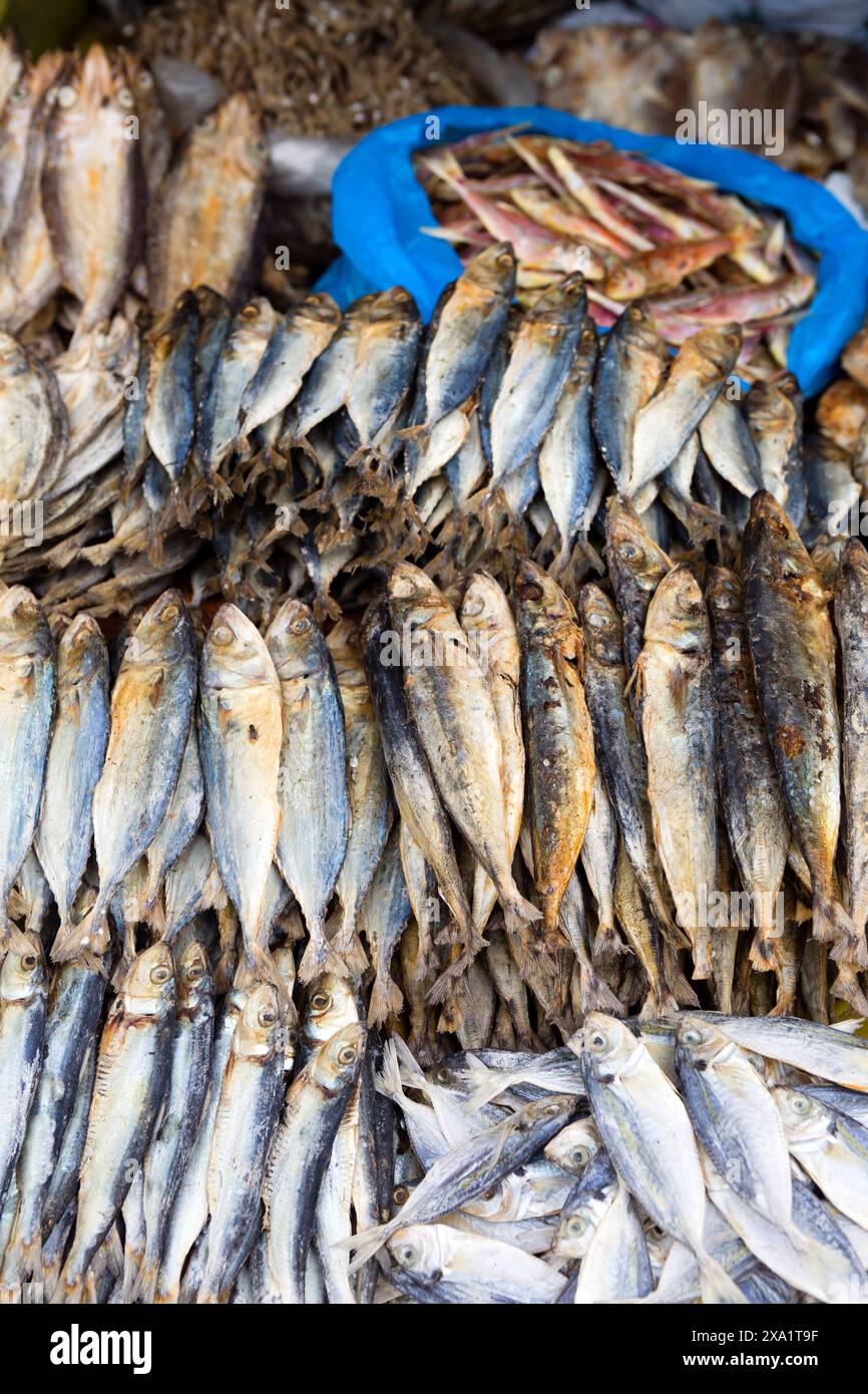 Dried fish on display at Carbon Market located in Cebu City ...