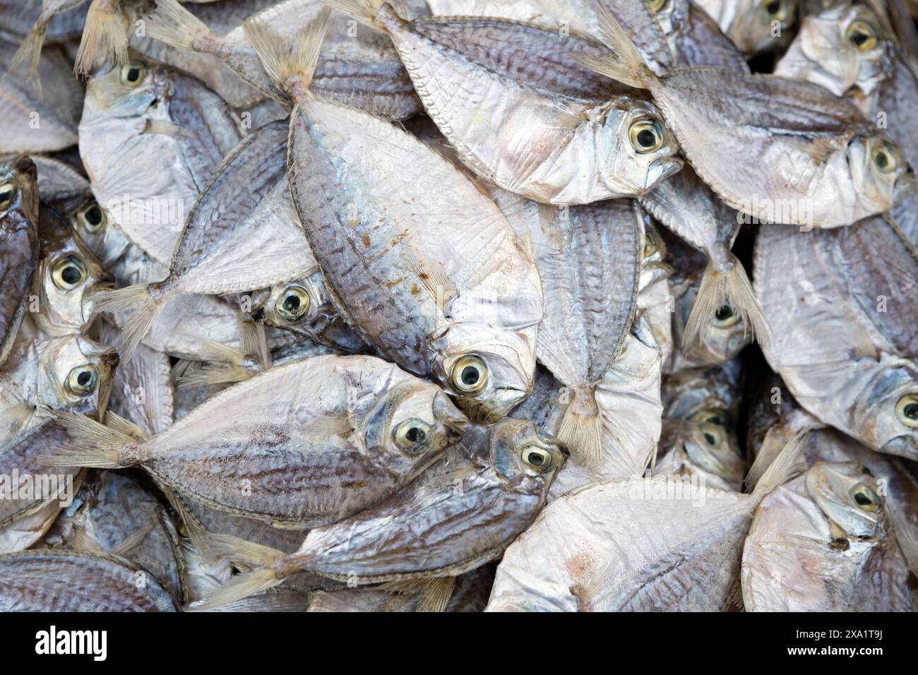Dried fish on display at Carbon Market located in Cebu City ...