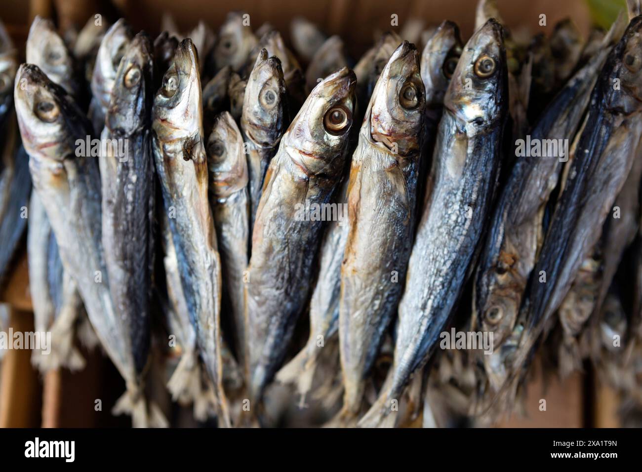 Dried fish on display at Carbon Market located in Cebu City ...