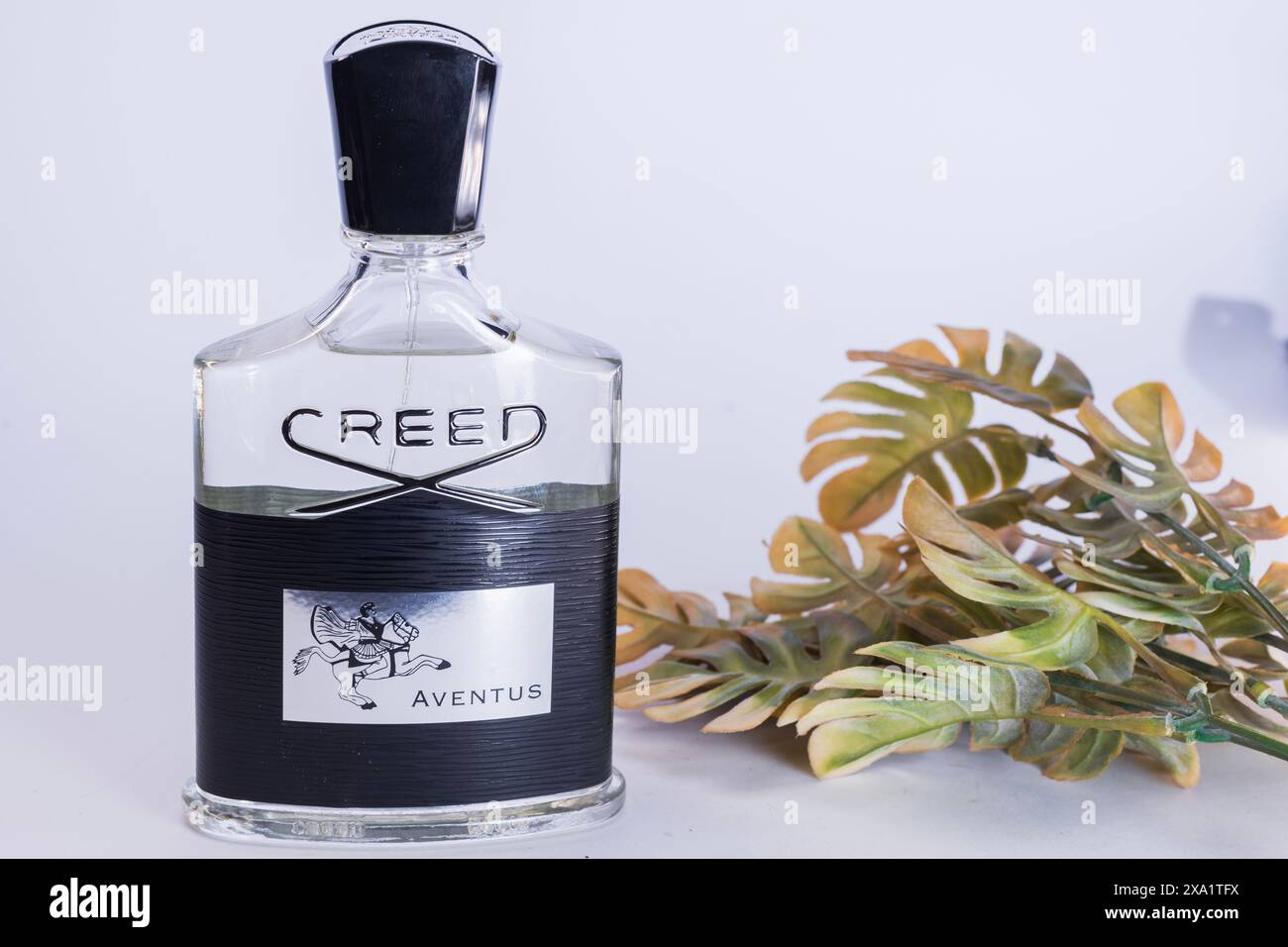 Bottle labeled creed beside a potted plant on a table Stock Photo - Alamy