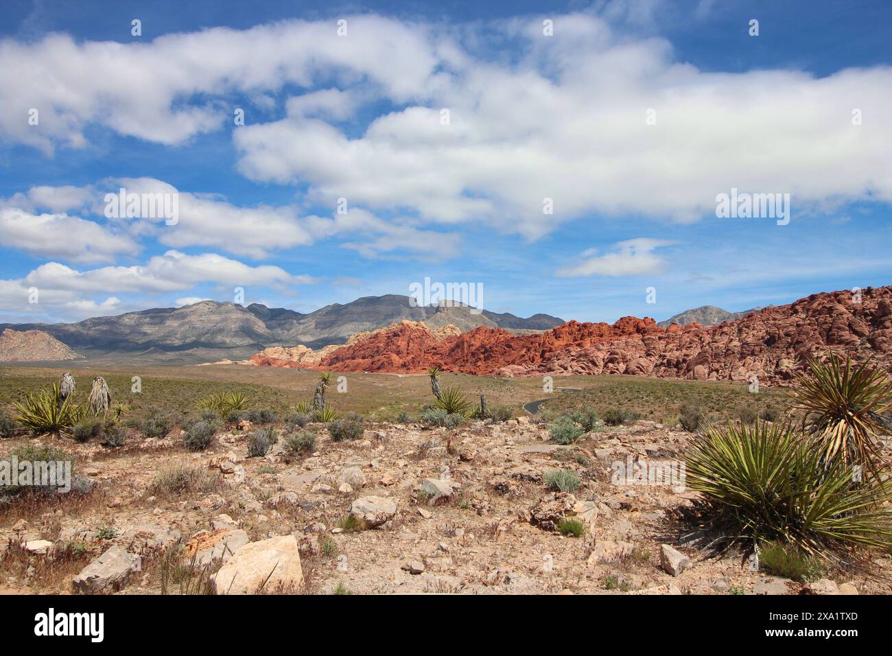 A desert landscape with distant mountains and green vegetation. Red ...