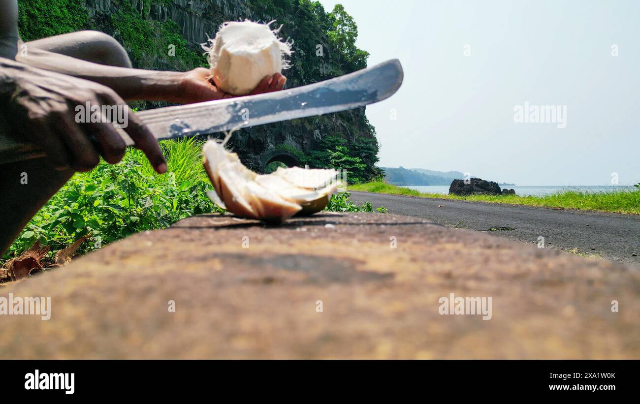 View of an African man with a machete cutting a coconut.Sao Tome,Africa ...