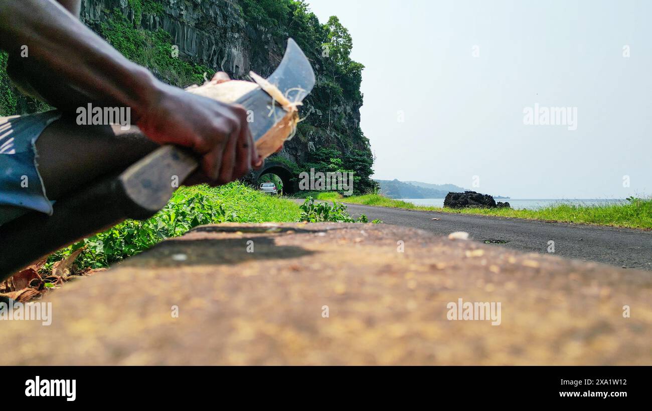 View of an African man with a machete cutting a coconut.Sao Tome,Africa ...