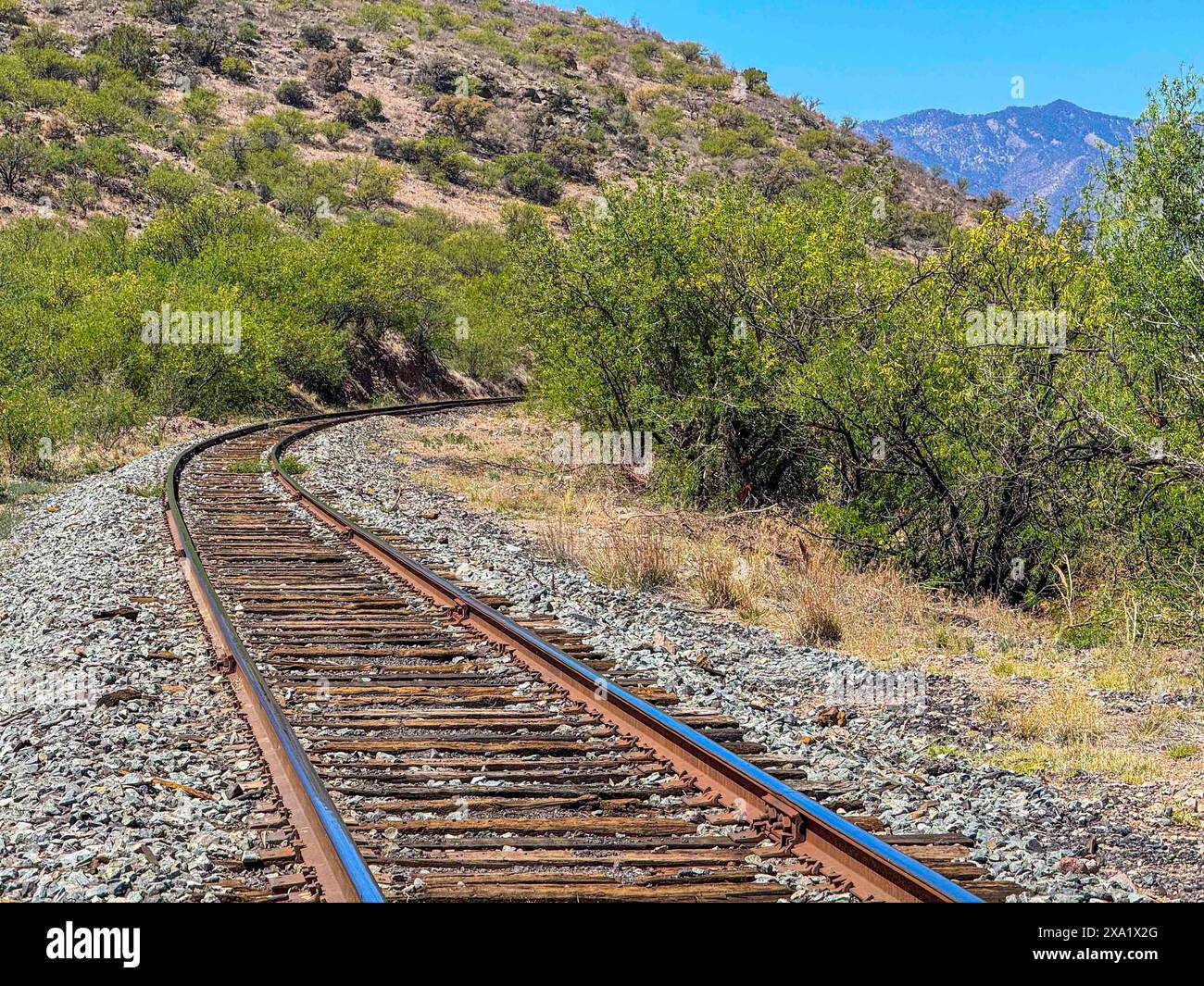 Tren de entrenamiento hi-res stock photography and images - Alamy