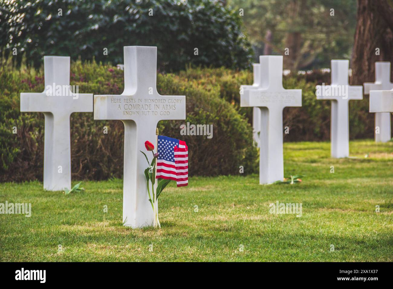 The graves in Normandy American Cemetery on the 75th anniversary of D ...