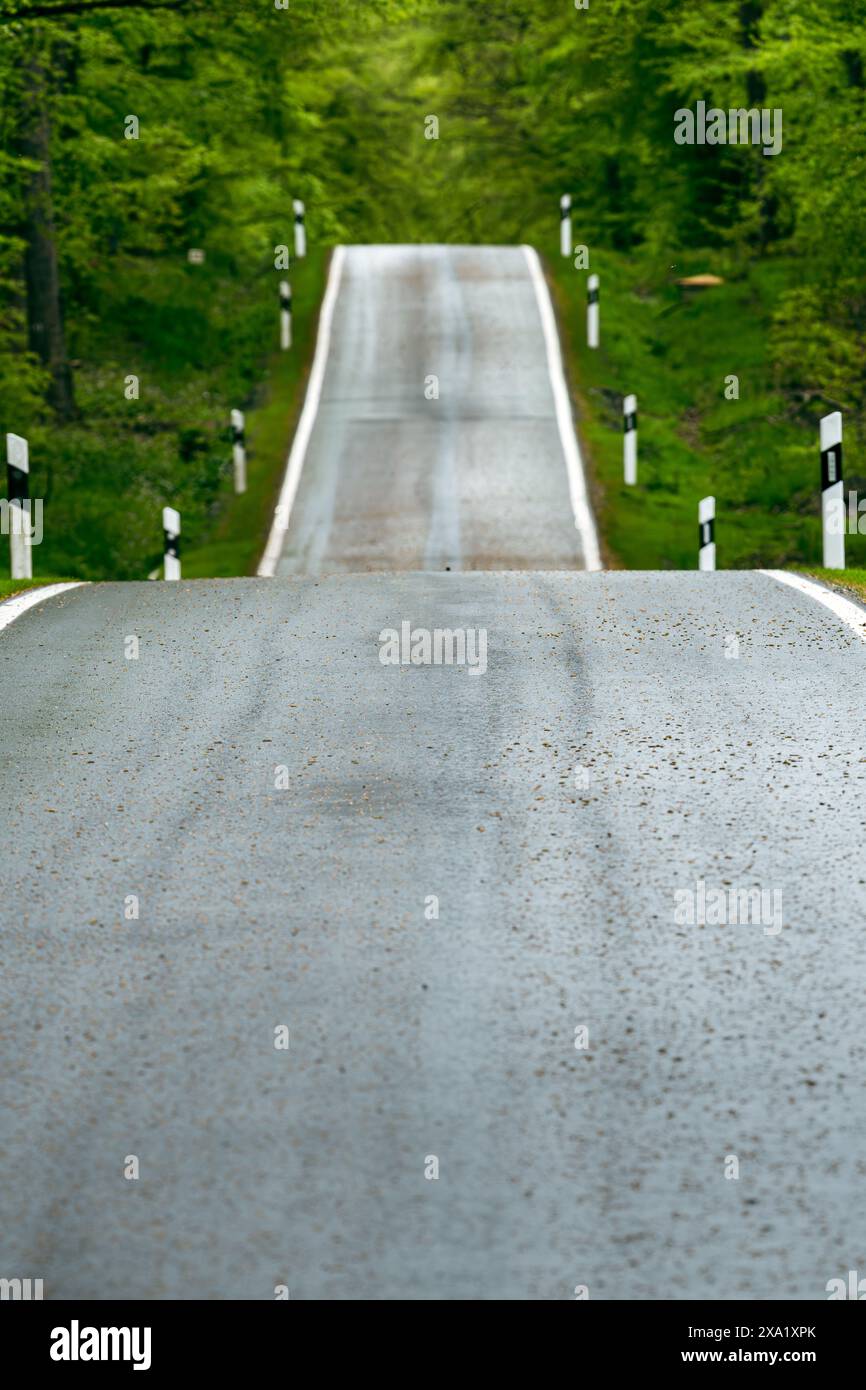 View of the empty road going up and down the hill through the green ...