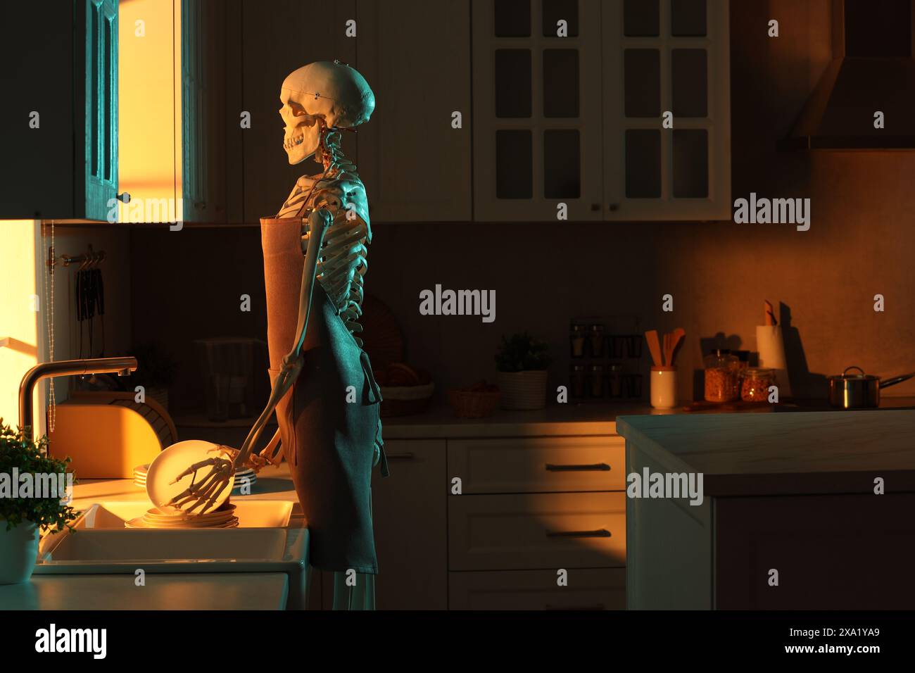 Human skeleton washing dishes in kitchen sink at night Stock Photo - Alamy