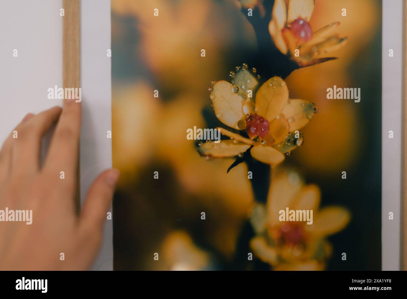 A person observing an artwork on a wall Stock Photo - Alamy