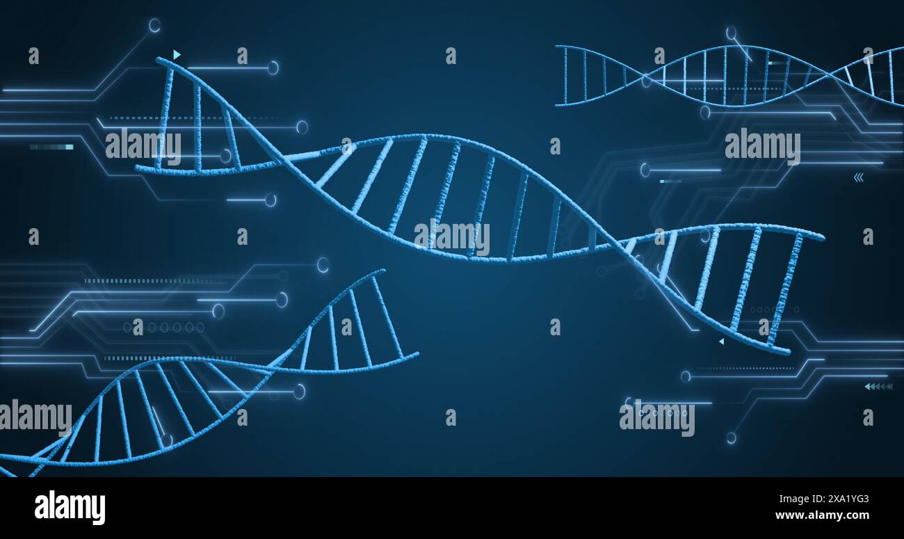 Image of spinning dna structures and microprocesor connections against ...