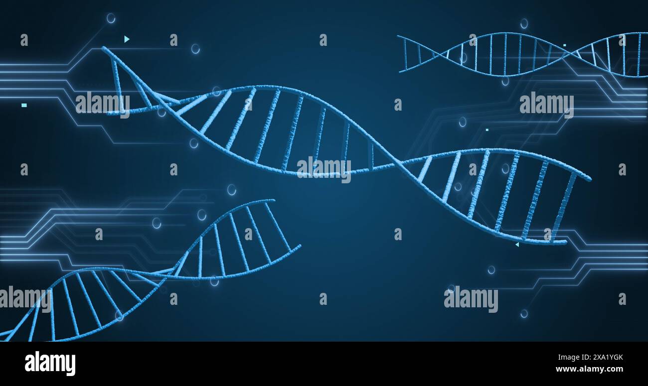 Image of spinning dna structures and microprocesor connections against ...