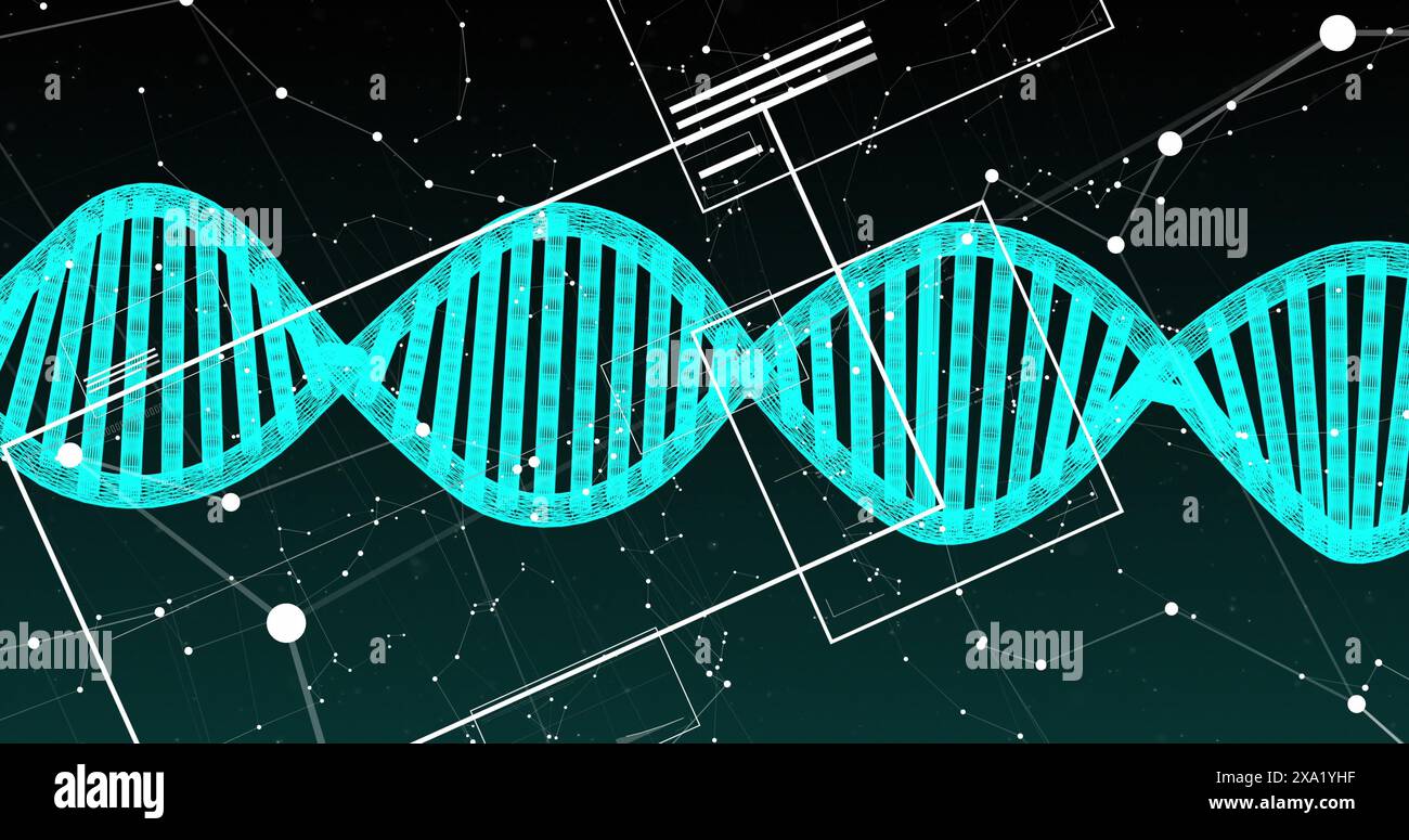 Image Of Spinning Dna Structure Network Of Connections And Interface With Data Processing Stock
