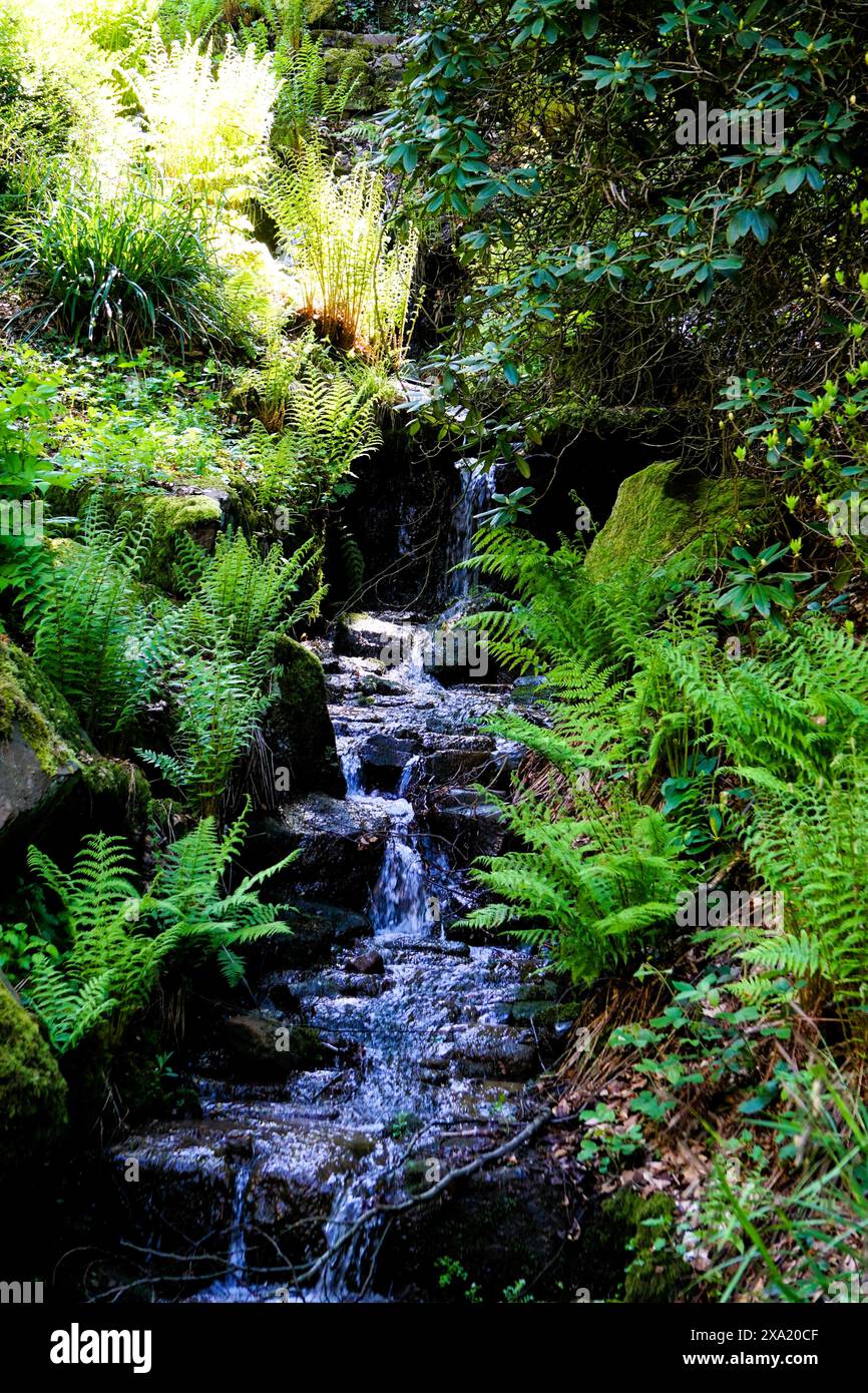 A serene outdoor scene with a cascading waterfall and lush plants Stock ...