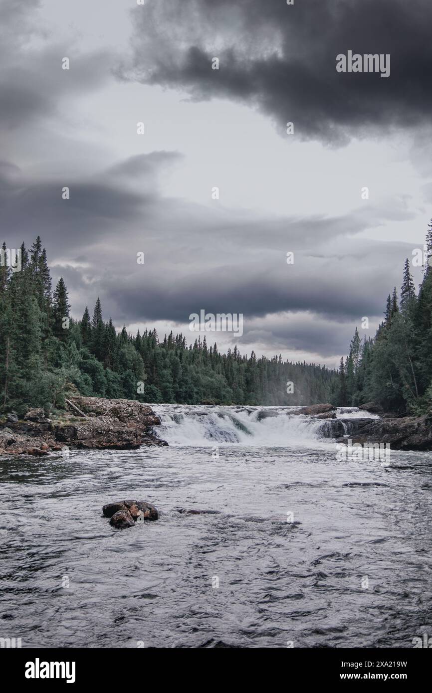 A picturesque Swedish river surrounded by dense evergreen foliage Stock ...