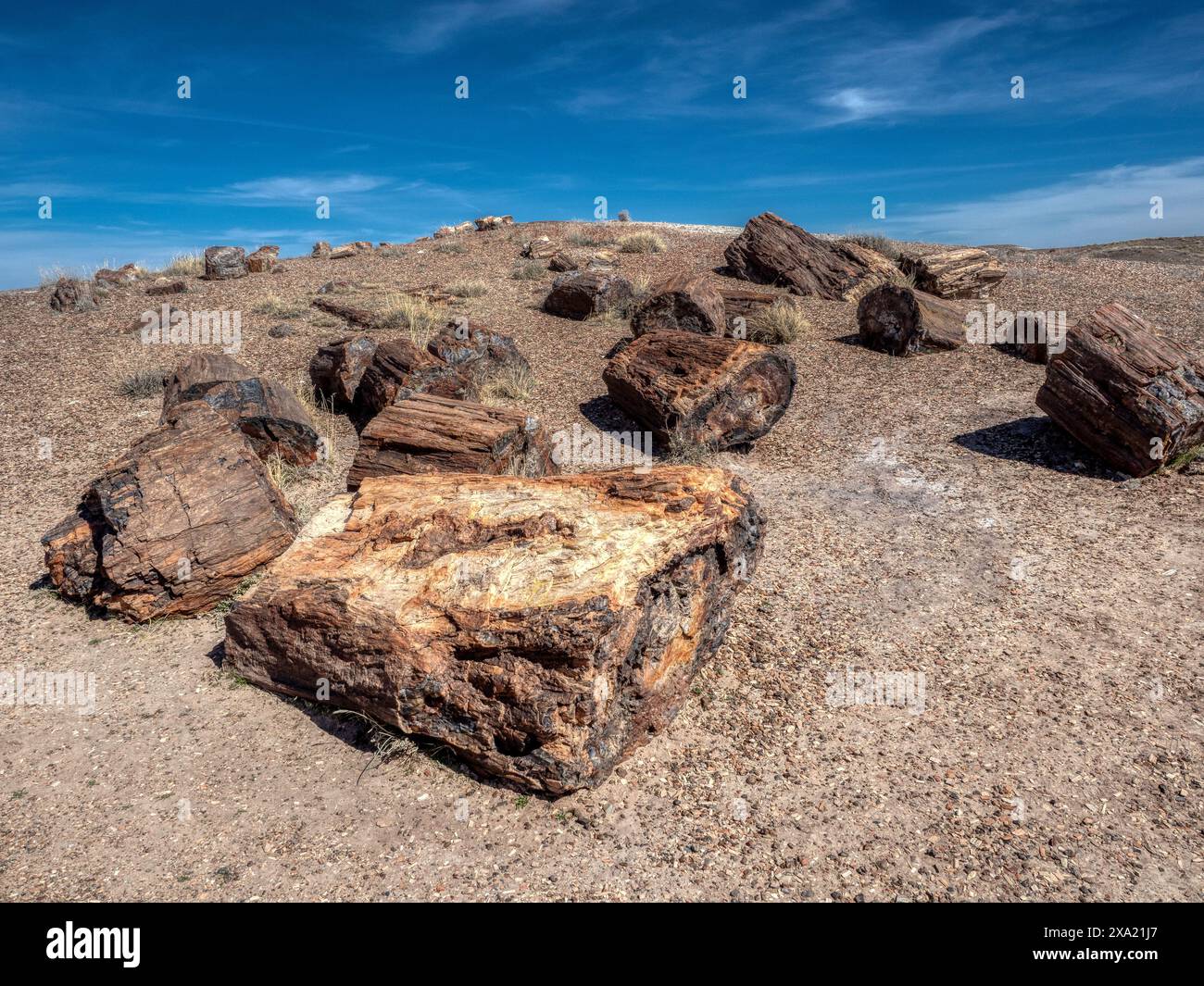 The Arizona Petrified Forest and the eroding badlands of the Painted ...