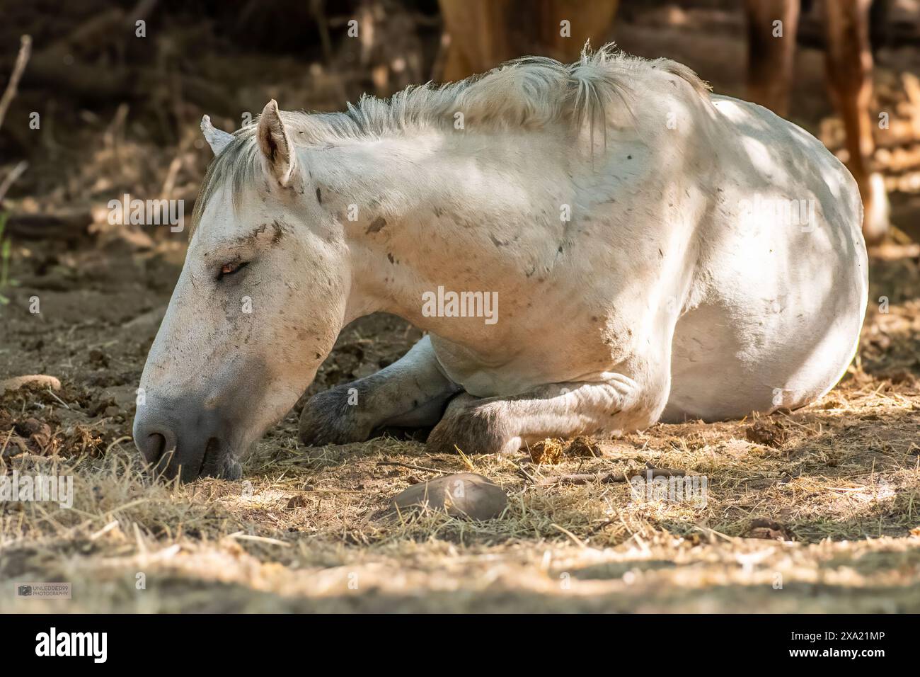 Just Lying Around Stock Photo - Alamy