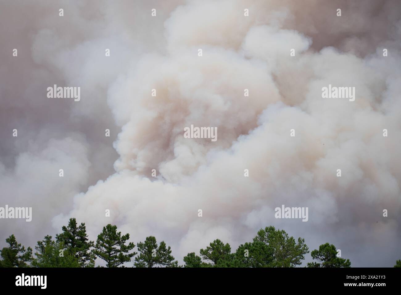 Bush fire with blue smoke in the sky above rural landscape of the ...