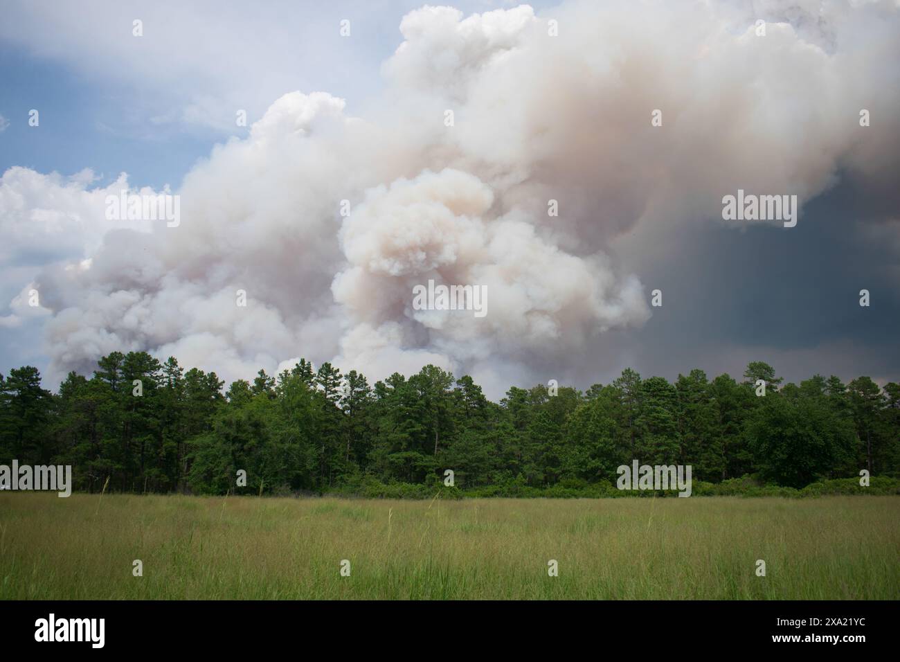 Bush fire with blue smoke in the sky above rural landscape of the ...