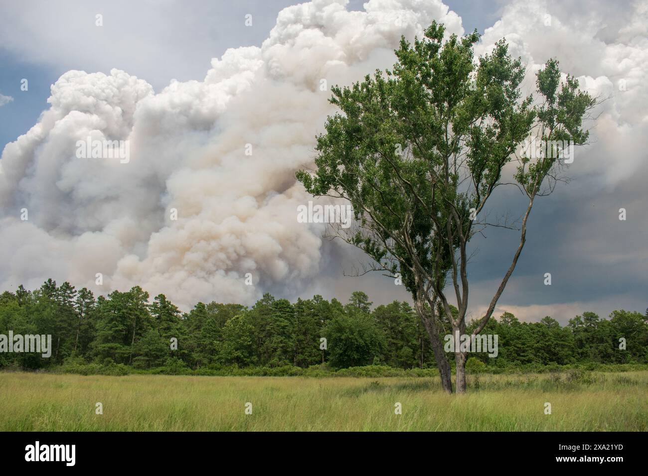 A Bush fire in the sky above rural landscape Stock Photo - Alamy