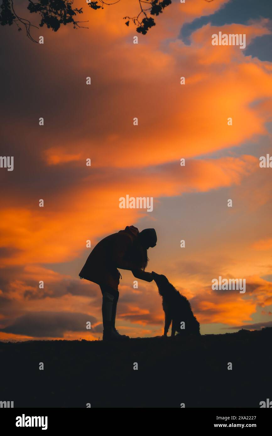 A Friendship between human and dog Stock Photo - Alamy