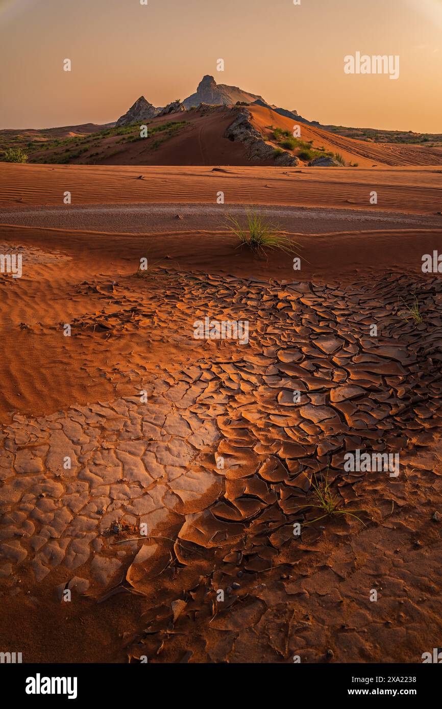 Desert wasteland sunset dunes hi-res stock photography and images - Alamy