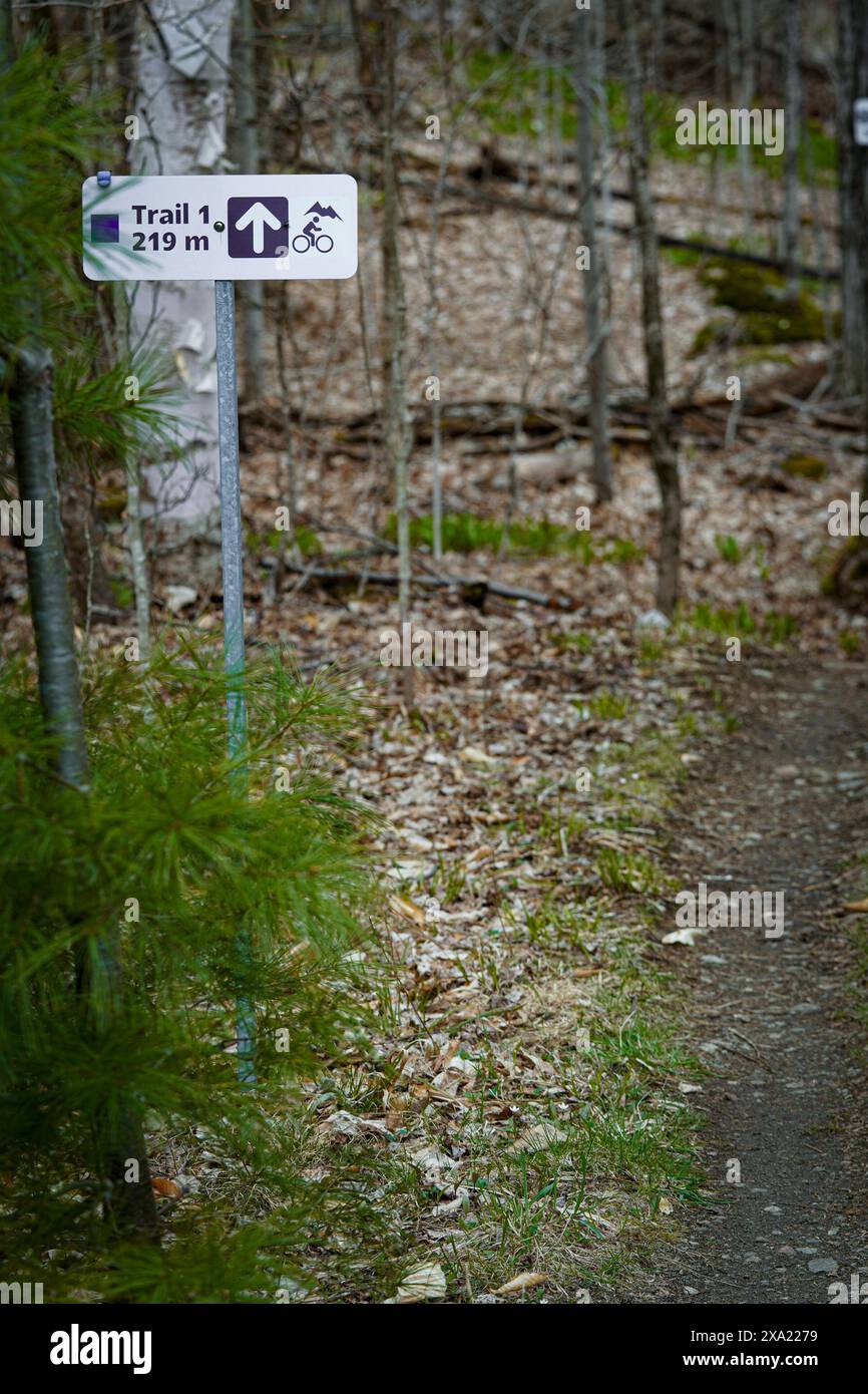 Trail sign on a mountaintop in the forest, indicating directions Stock ...