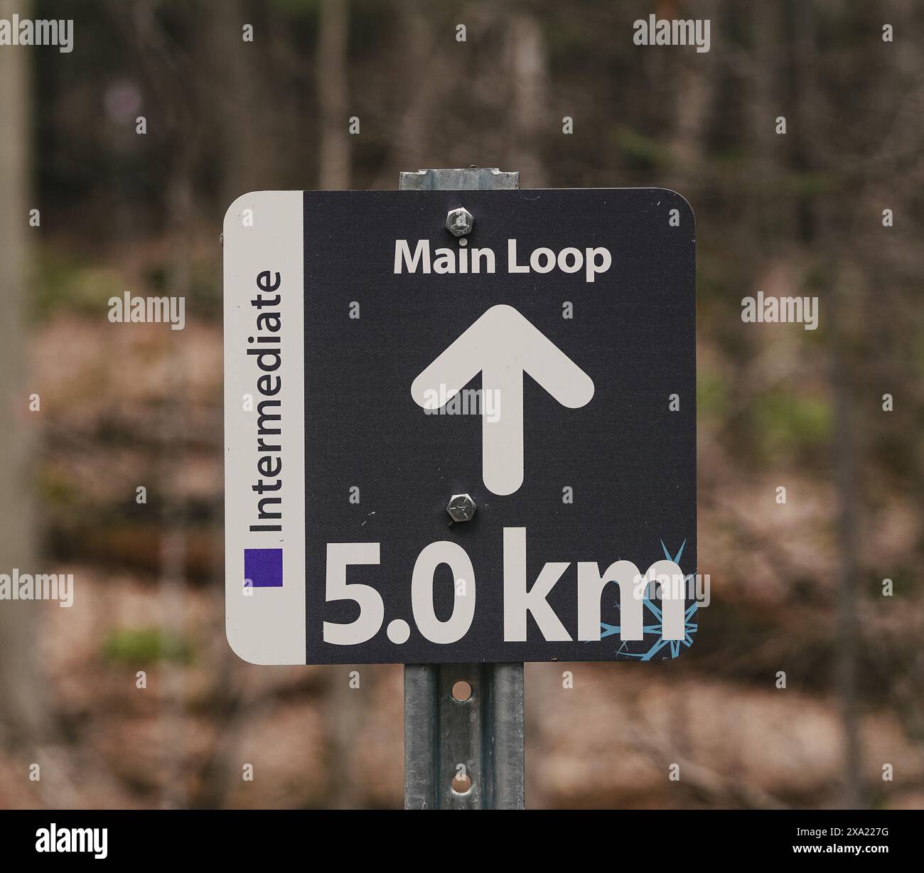 A main loop sign on a hiking trail. Intermediate trail 5 km Stock Photo ...