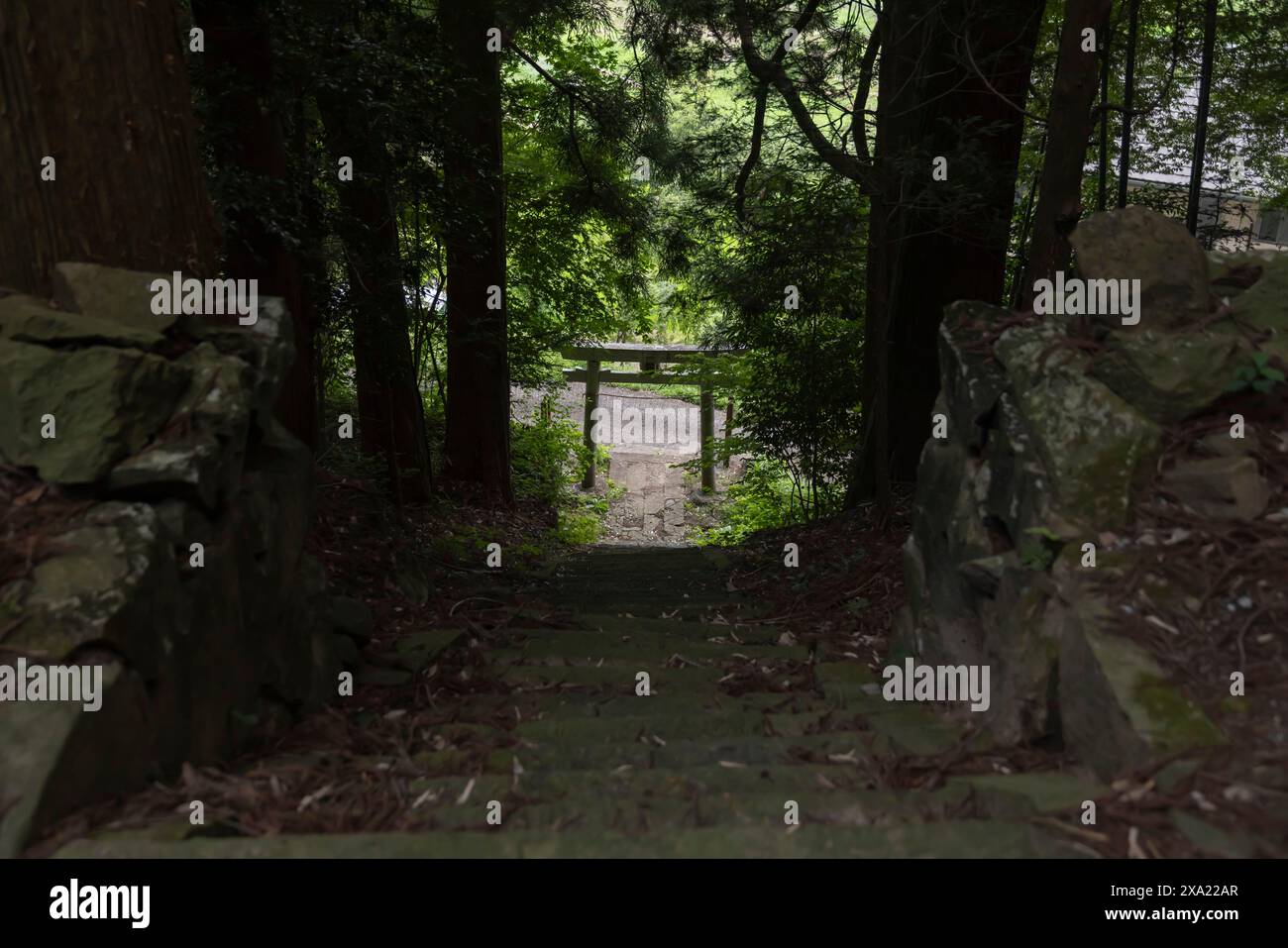 A stone stairs near Japanese old shrine at the countryside in Gunma ...