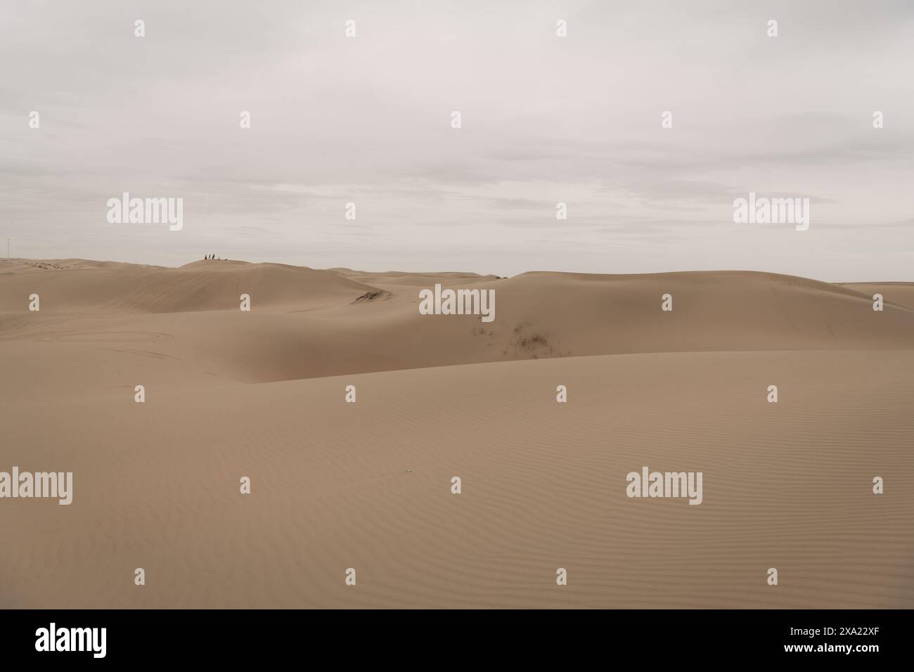 The Gobi desert landscape with the massive dunes and people far away ...
