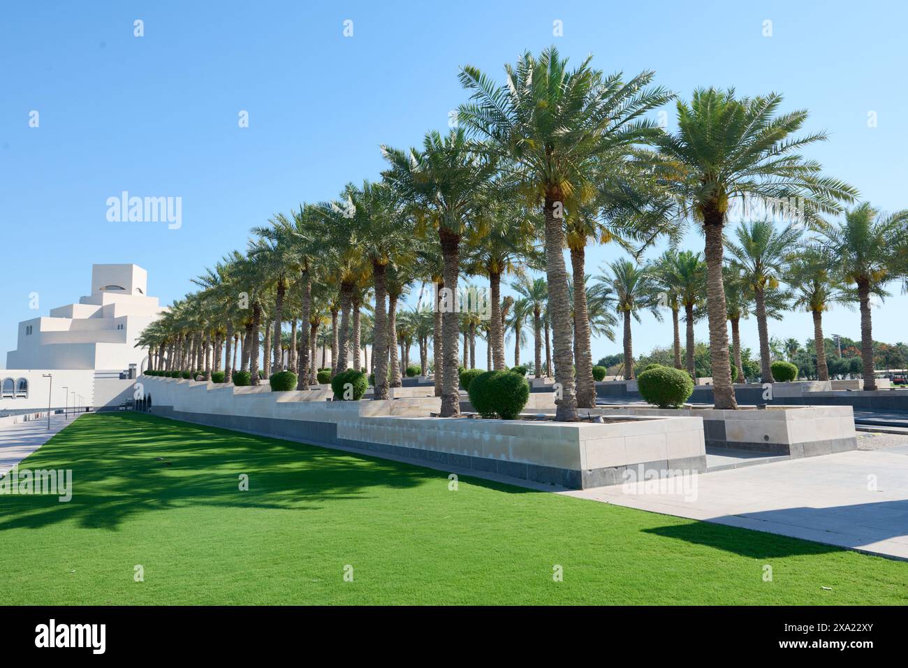 Lush green grass surrounds a landscape dotted with tall palm trees ...