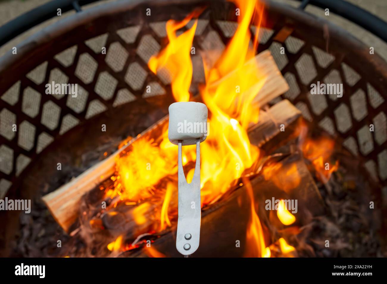 Focus is on a mashmallow stuck on a fork for roasting. Fire blurred in ...