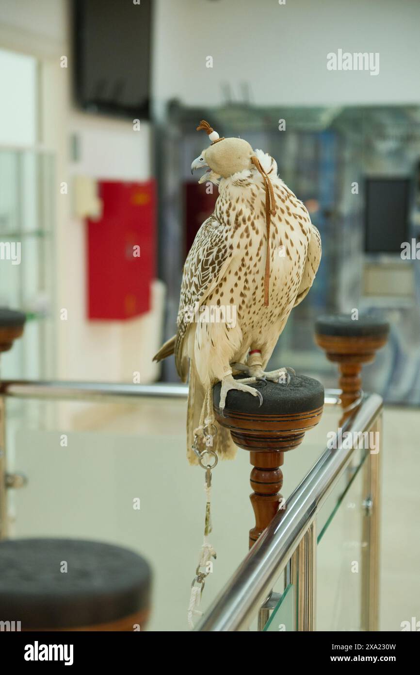 Sitting on bar stools hi-res stock photography and images - Alamy