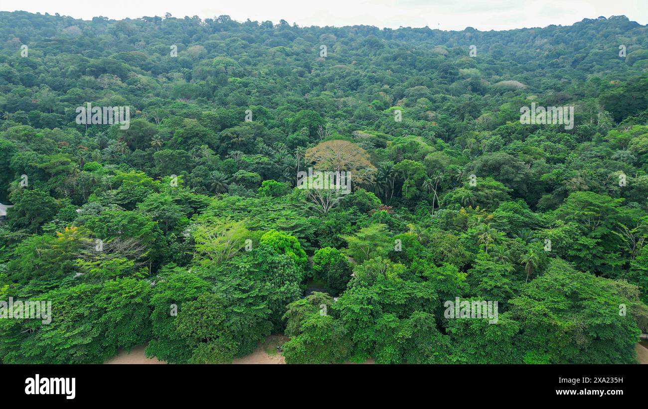 An aerial view of Ilha do Principe, showcasing lush forest and jungle ...
