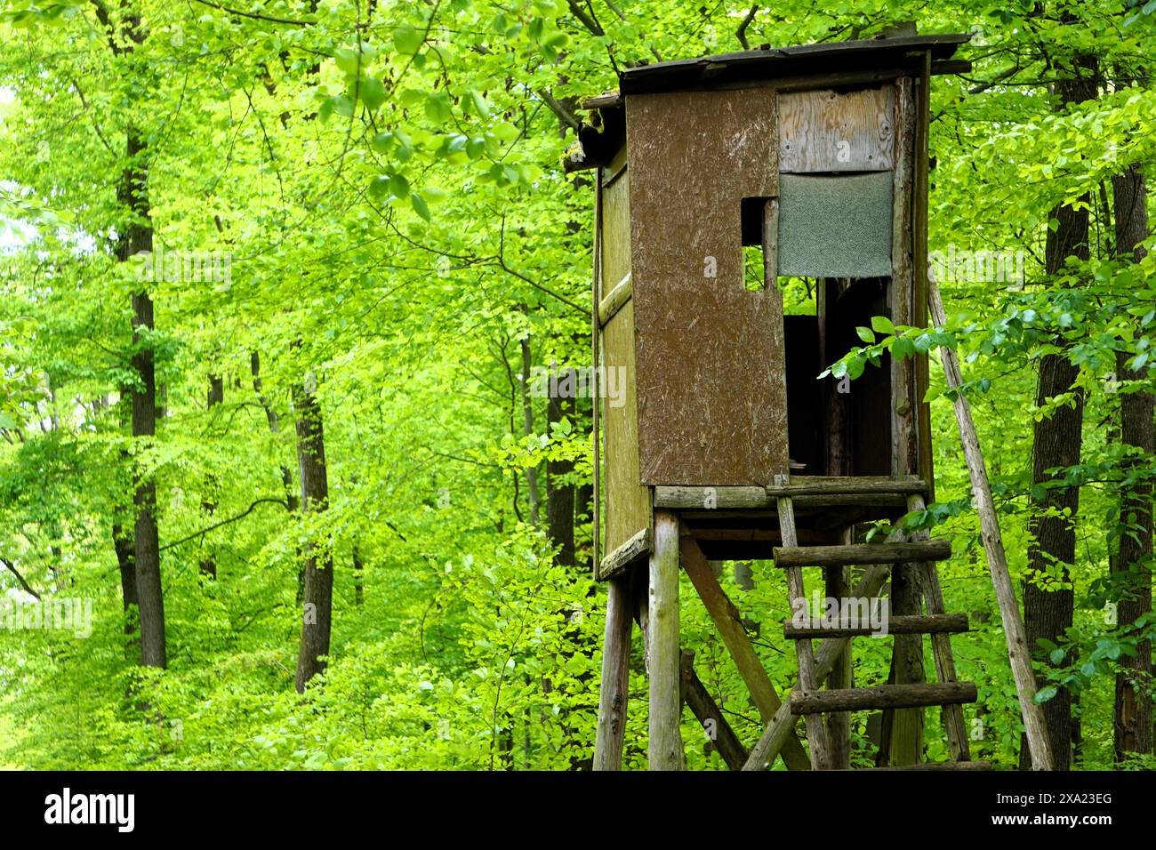 Treehouse structure hi-res stock photography and images - Alamy