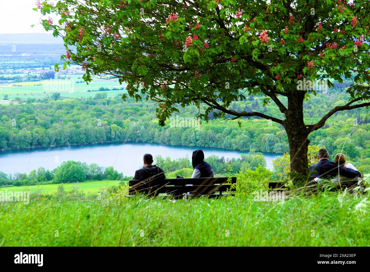 Group people sitting under tree hi-res stock photography and images - Alamy