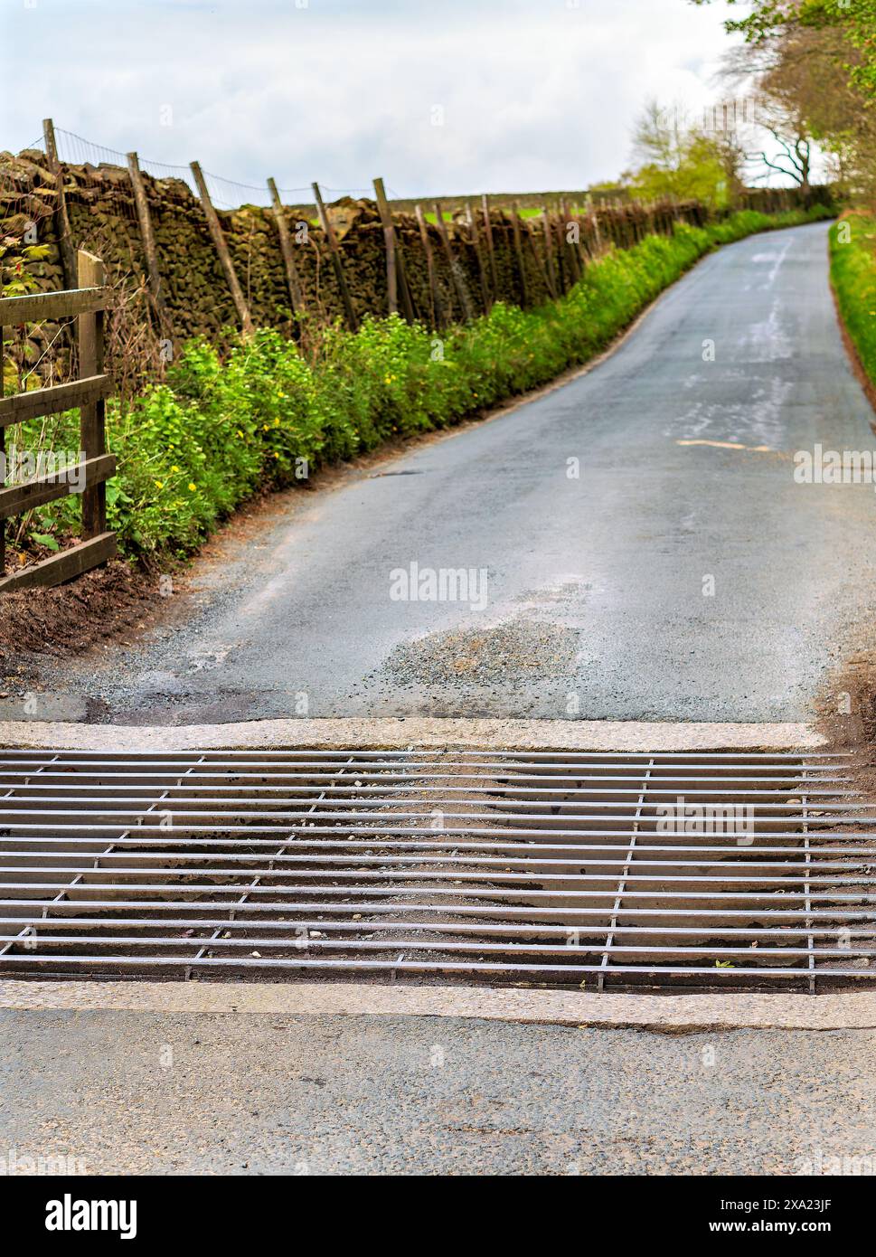 metal cattle grid across the road with lane into the distance Stock ...