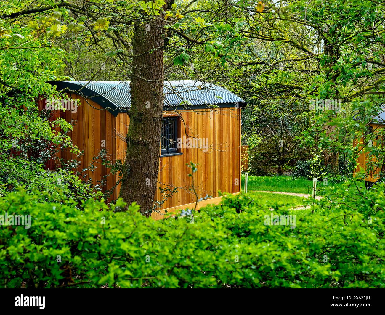 Camping huts glamping wooden vacation holiday lodges in the forrest ...