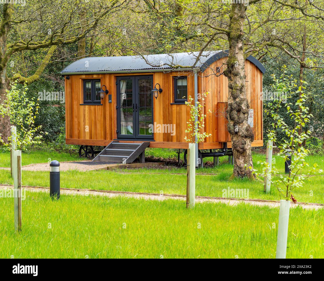 Camping huts glamping wooden vacation holiday lodges in the forrest ...