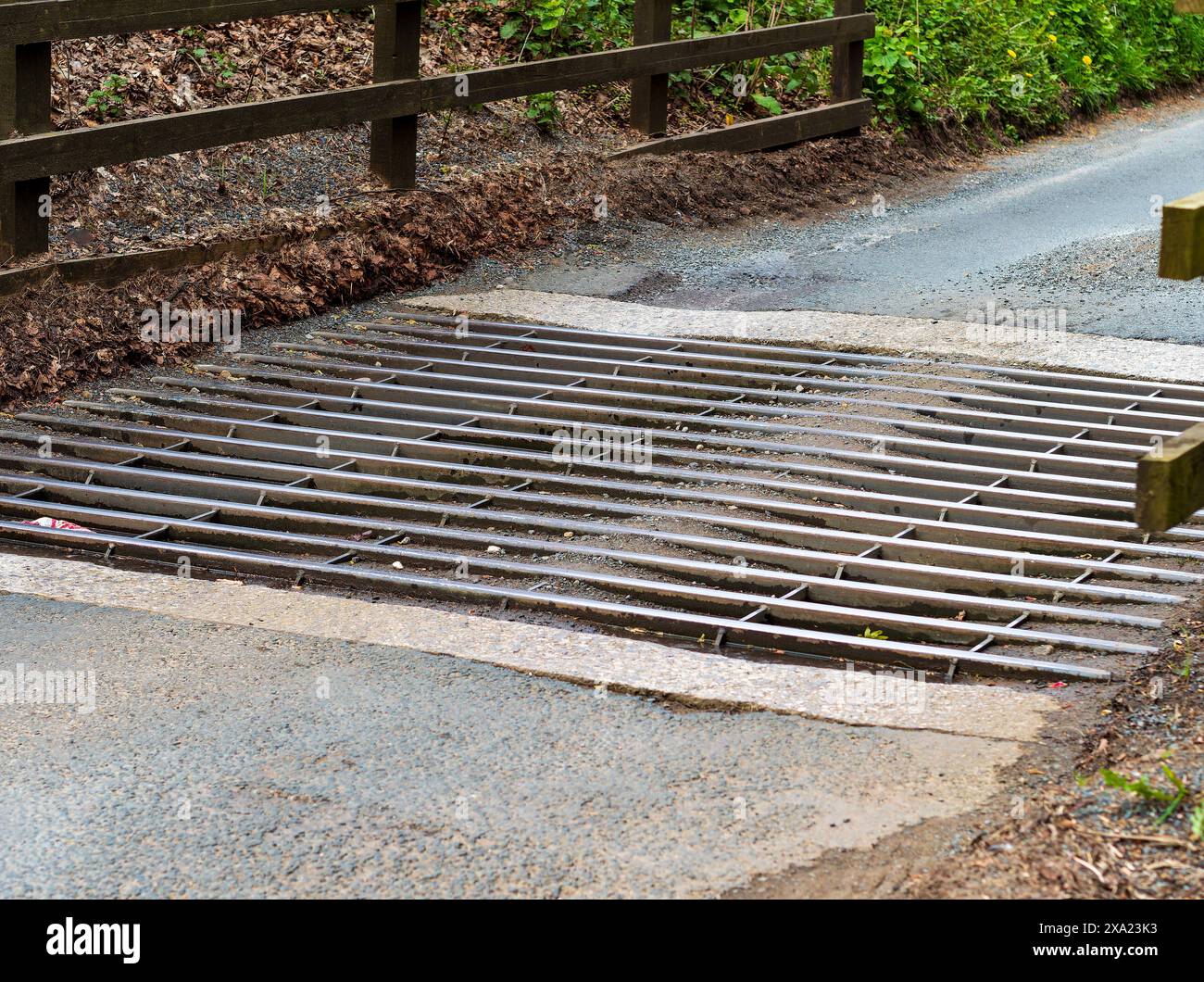 metal cattle grid across the road Stock Photo - Alamy