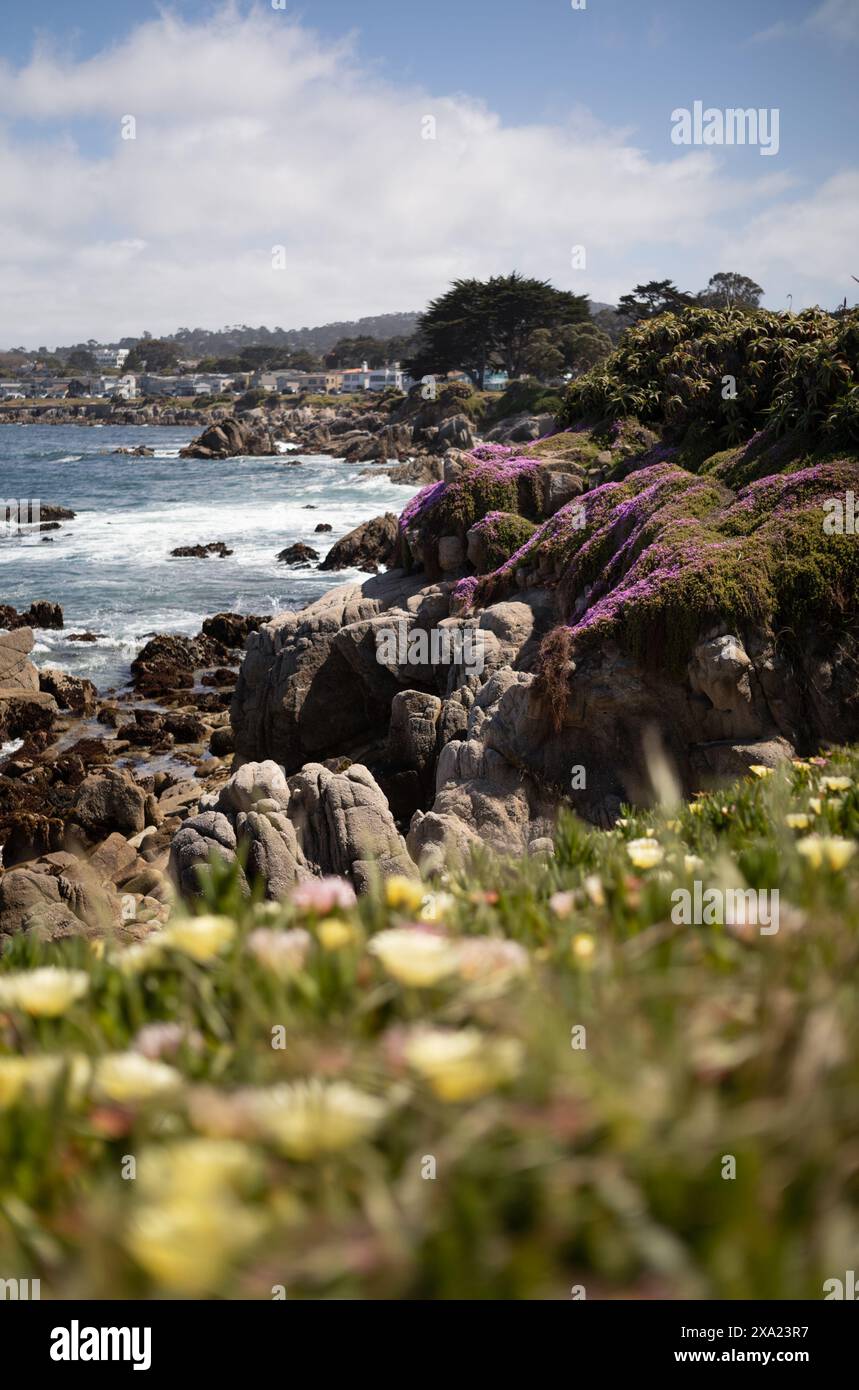 Herbs and rocks hi-res stock photography and images - Alamy