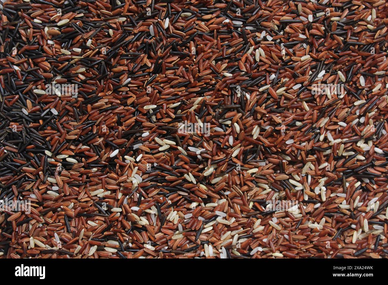 A top view of various varieties of rice Stock Photo - Alamy