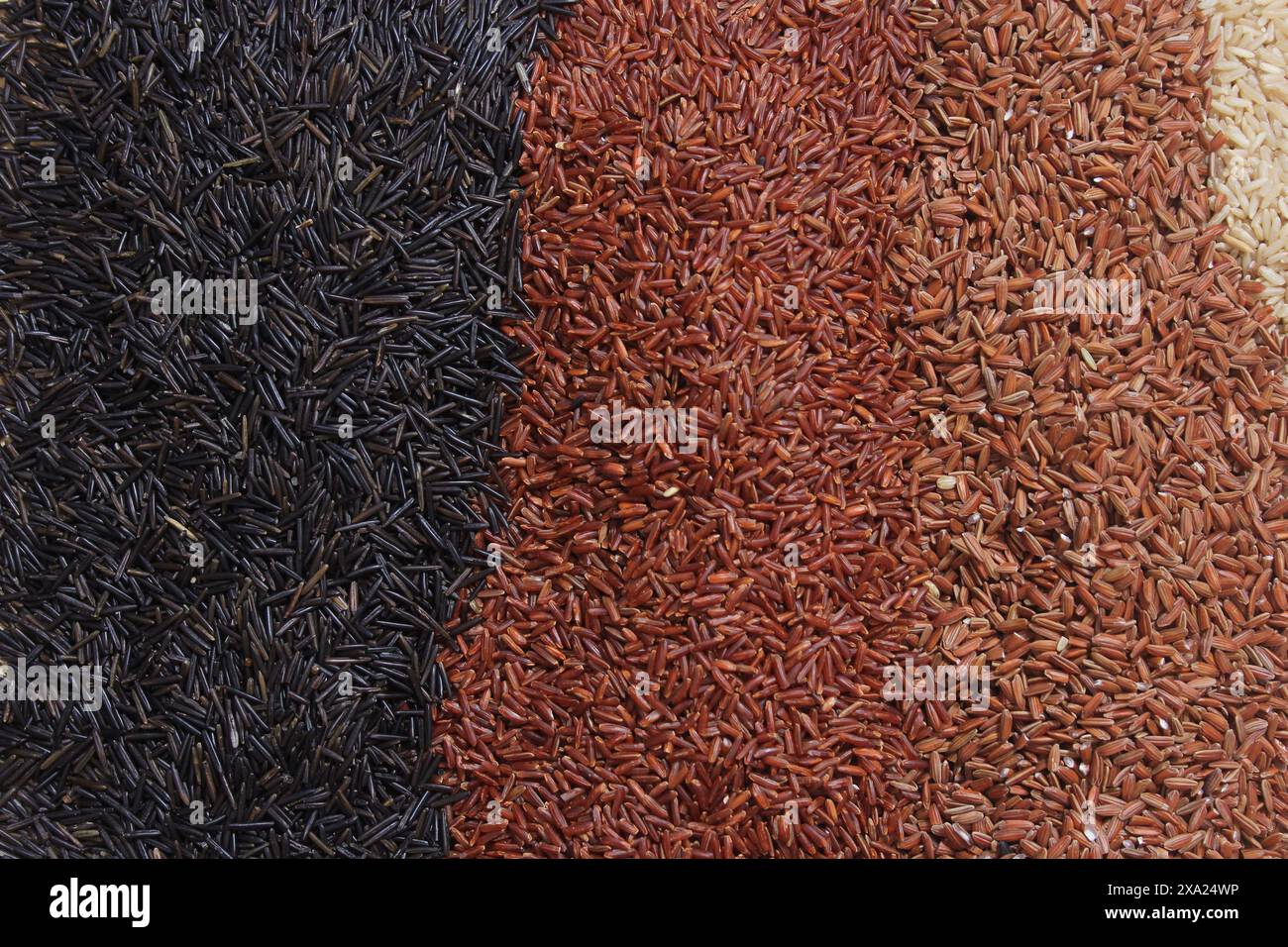 A top view of various varieties of rice Stock Photo - Alamy