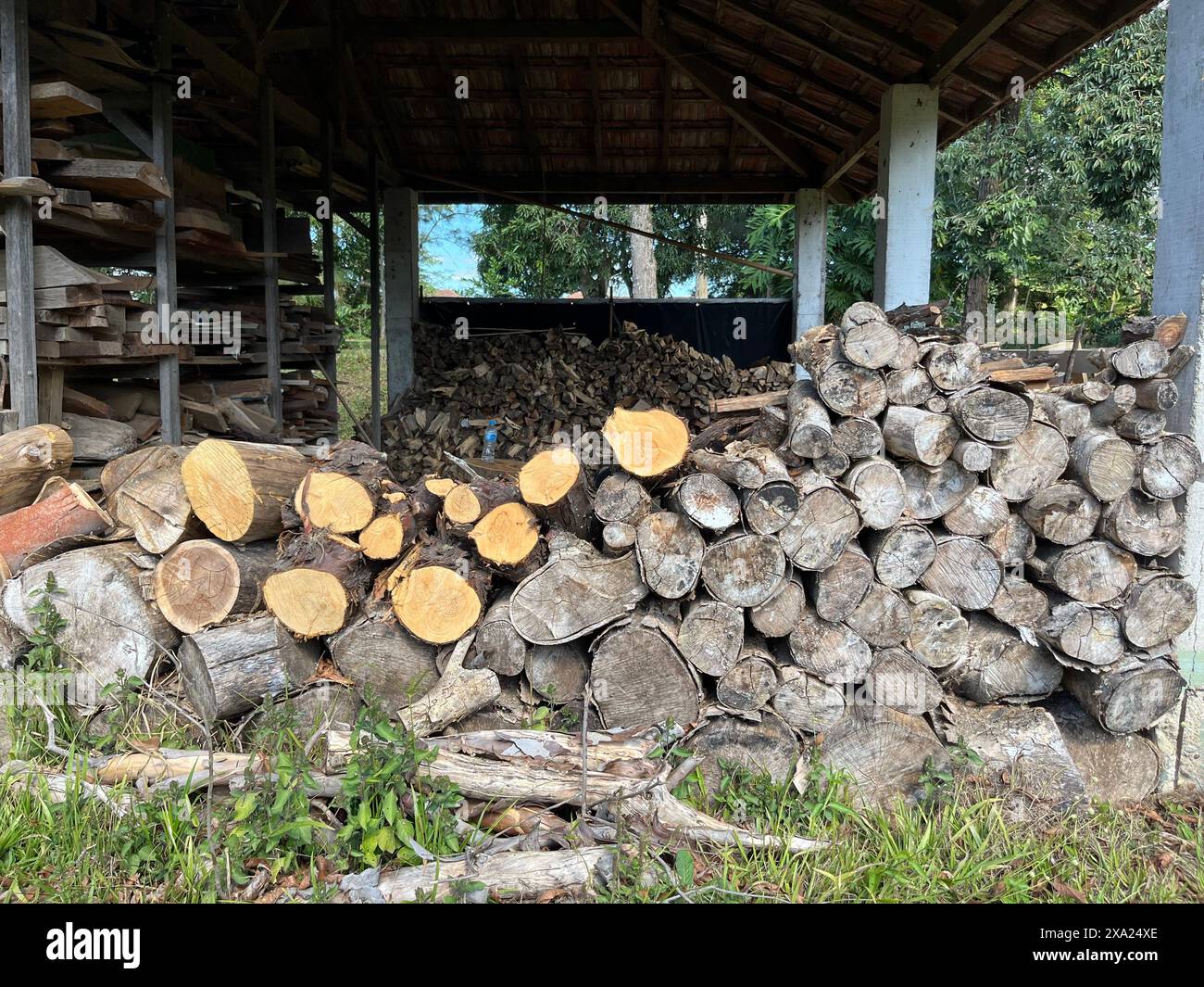 wood cut for making a fire Stock Photo - Alamy