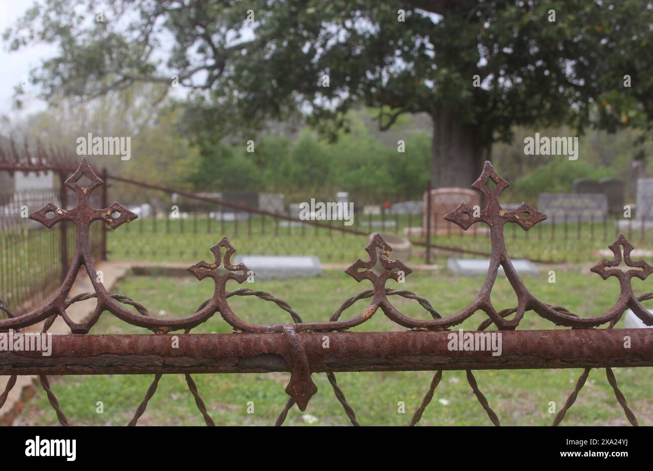 Wrought iron cemetery gates hi-res stock photography and images - Alamy
