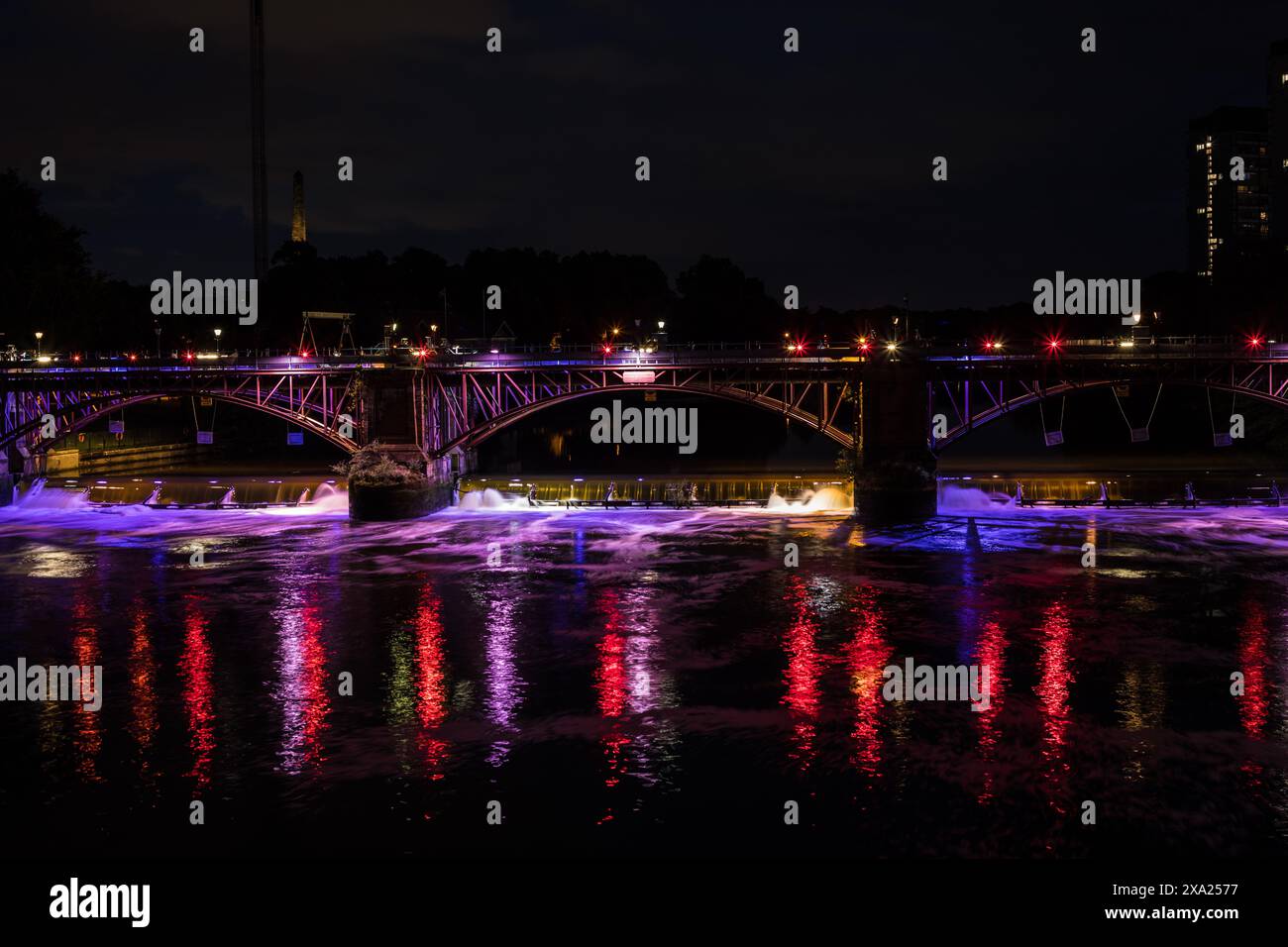 Nocturnal allure hi-res stock photography and images - Alamy