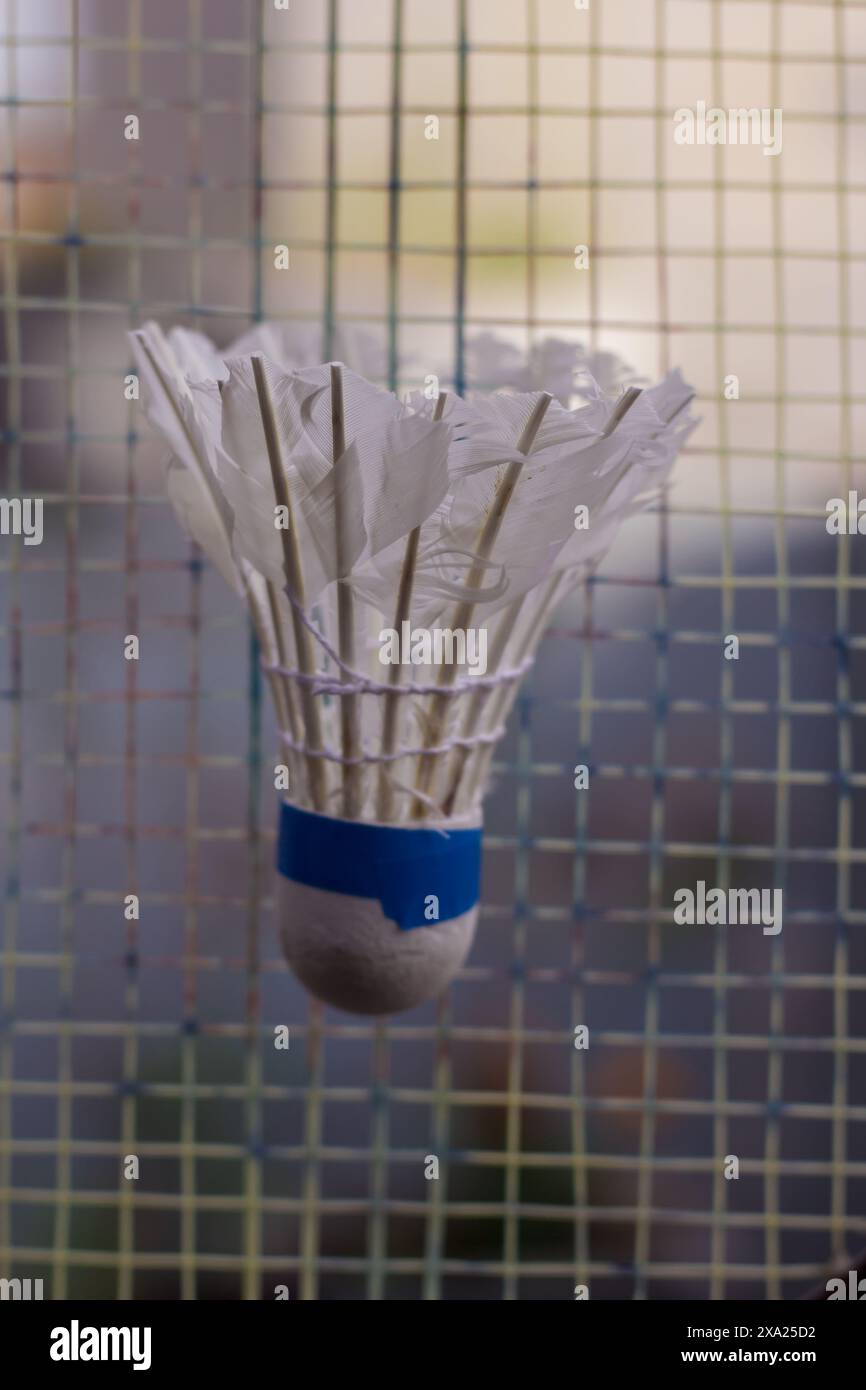 Multiple white badminton shuttles hanging on a wire mesh window Stock ...