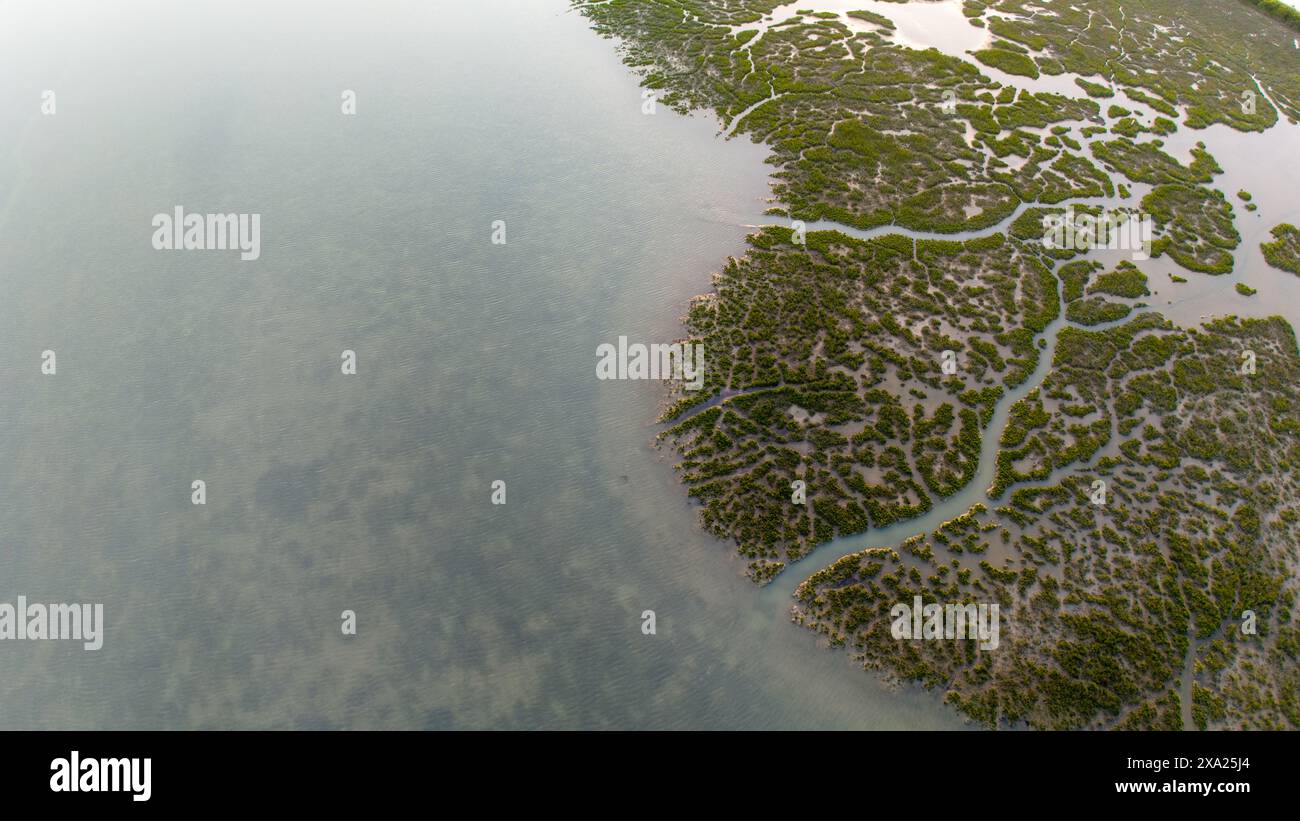 Quiet shallows hi-res stock photography and images - Alamy