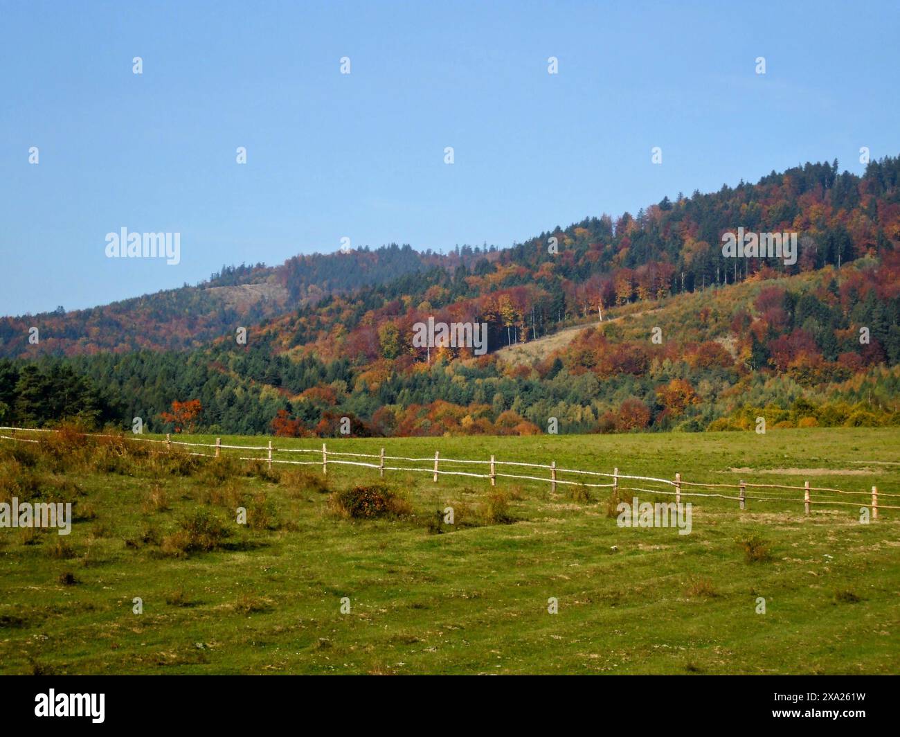 The Plains and colorful forest at Klacno, Slovakia Stock Photo - Alamy