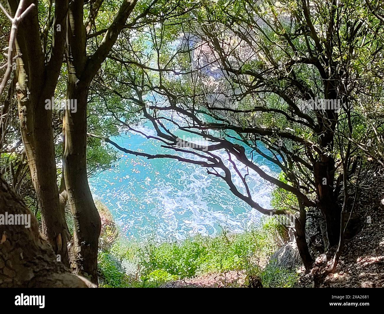 Majestic overhanging trees hi-res stock photography and images - Alamy