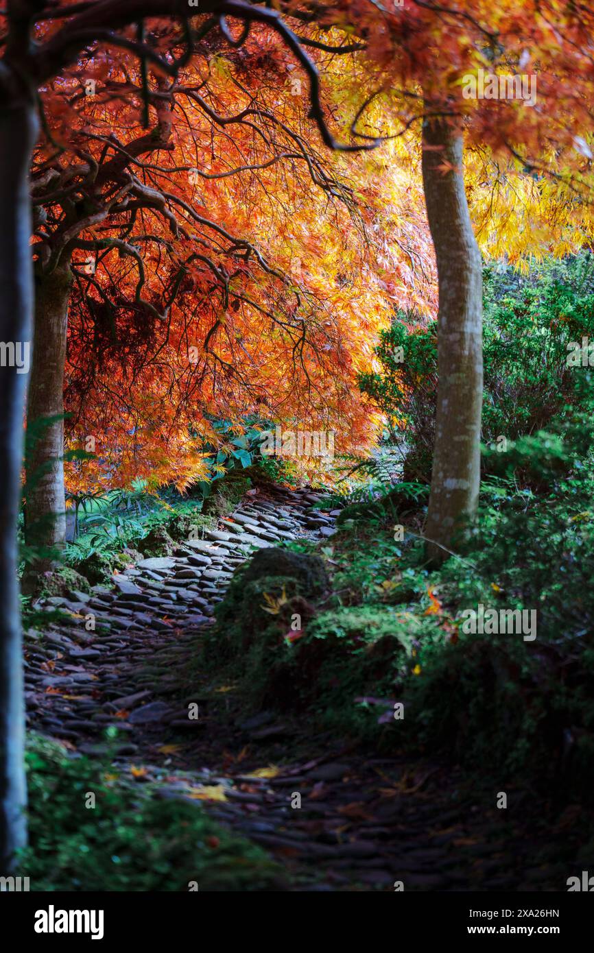 An Autumn view at Mount Macedon Stock Photo - Alamy
